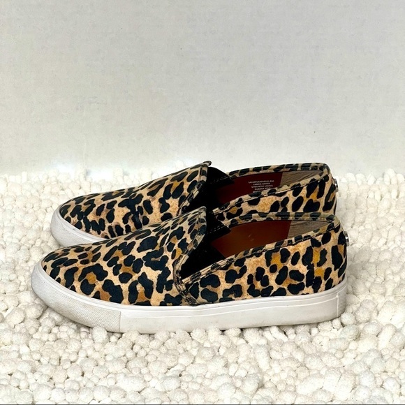 Steve Madden | Shoes | Steve Madden Leopard Print Slip On | Poshmark